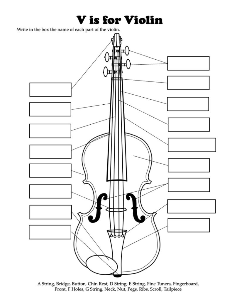 Parts of the Violin - Horsehair Music