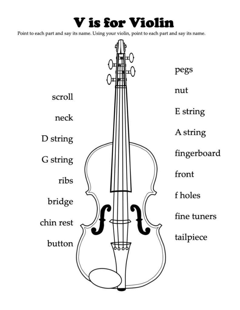 Parts of the Violin - Horsehair Music