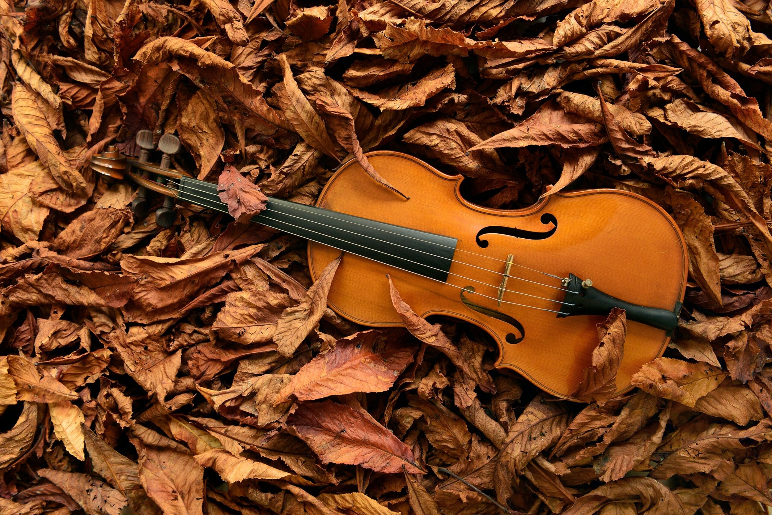 Violin Music for Thanksgiving - Horsehair Music